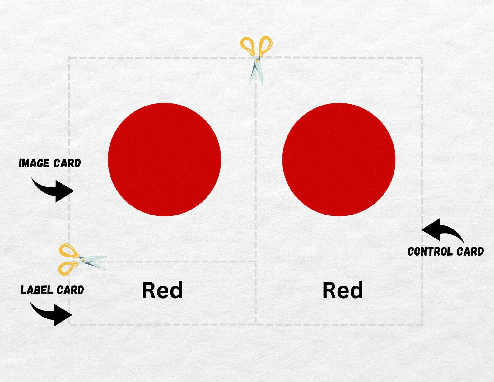 montessori-printables-337238.webp?v=1748547362